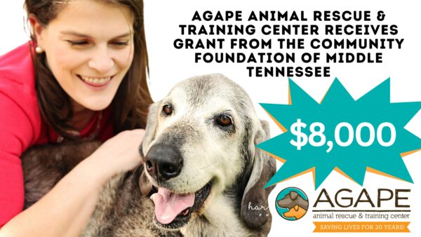 Agape Animal Rescue | Adopt, Volunteer, Foster, Donate Agape Animal Rescue | Adopt, Volunteer, Foster, Donate