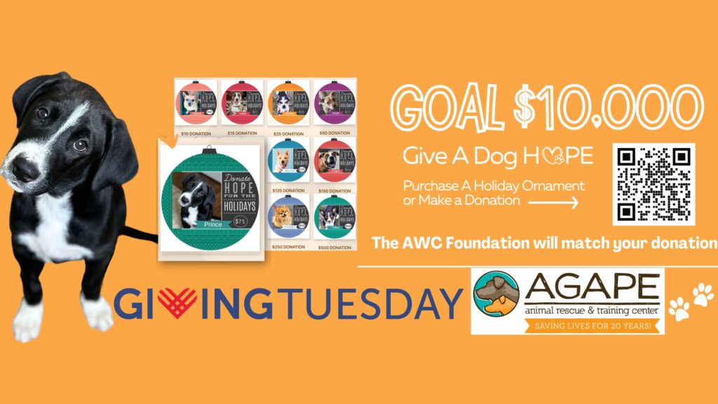 Agape Animal Rescue | Adopt, Volunteer, Foster, Donate Agape Animal Rescue | Adopt, Volunteer, Foster, Donate